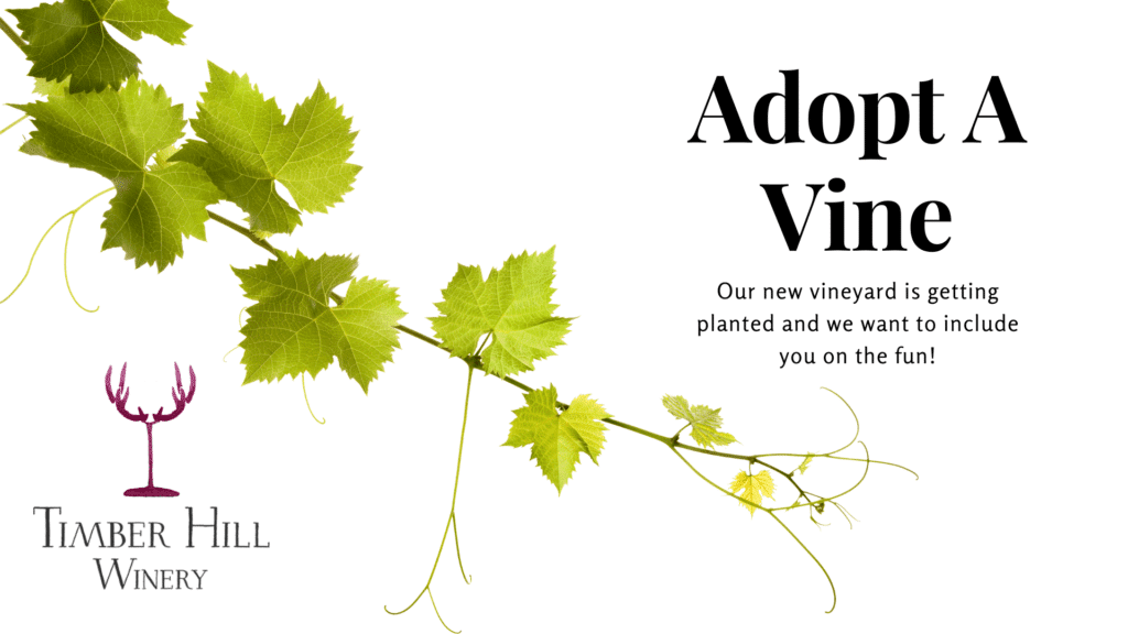 Adopt A Vine | Timber Hill Winery