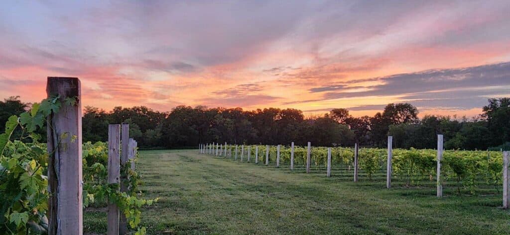 Discover the NEW Timber Hill Winery! | Timber Hill Winery